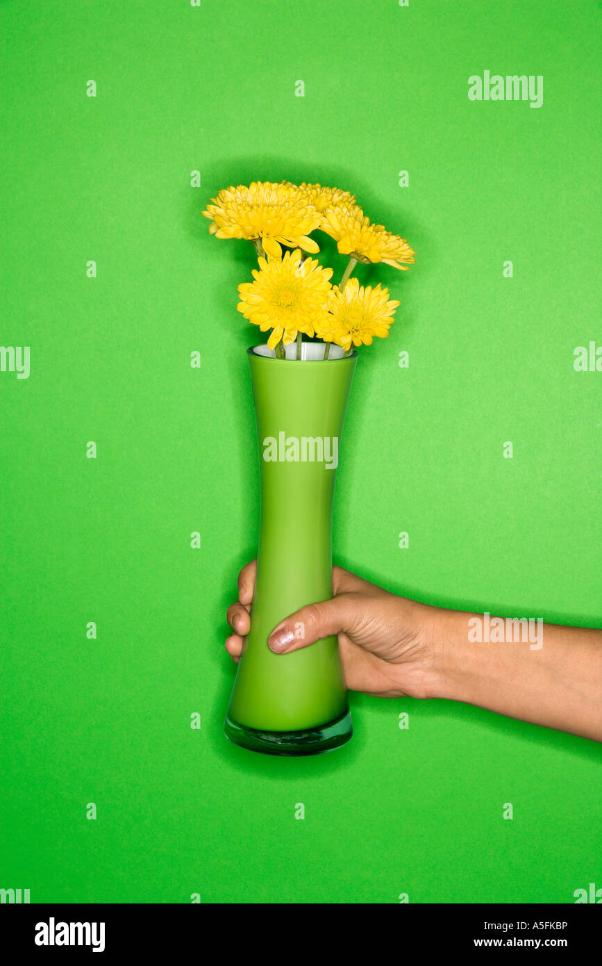 Female Caucasian young adult s hand holding vase with flowers Stock ...