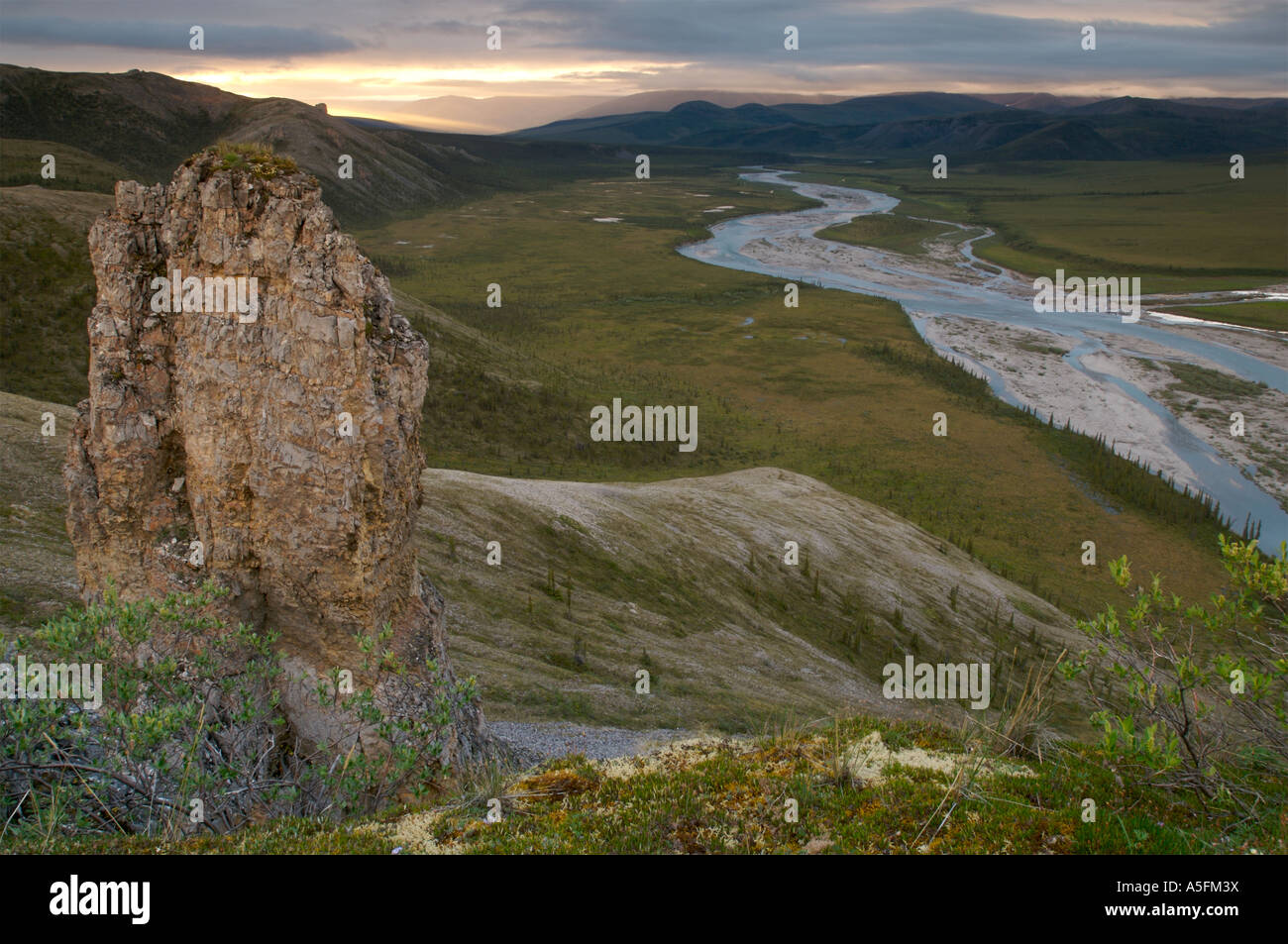 Muskeg Creek area, Firth River. Ivvavik National Park. Yukon Territory ...