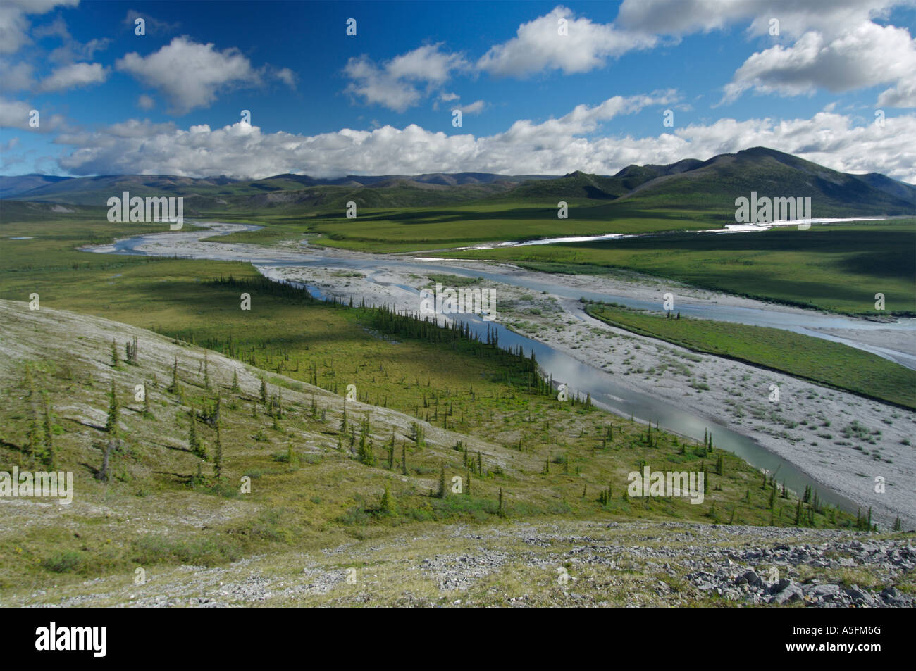 Muskeg Creek area, Firth River. Ivvavik National Park. Yukon Territory ...