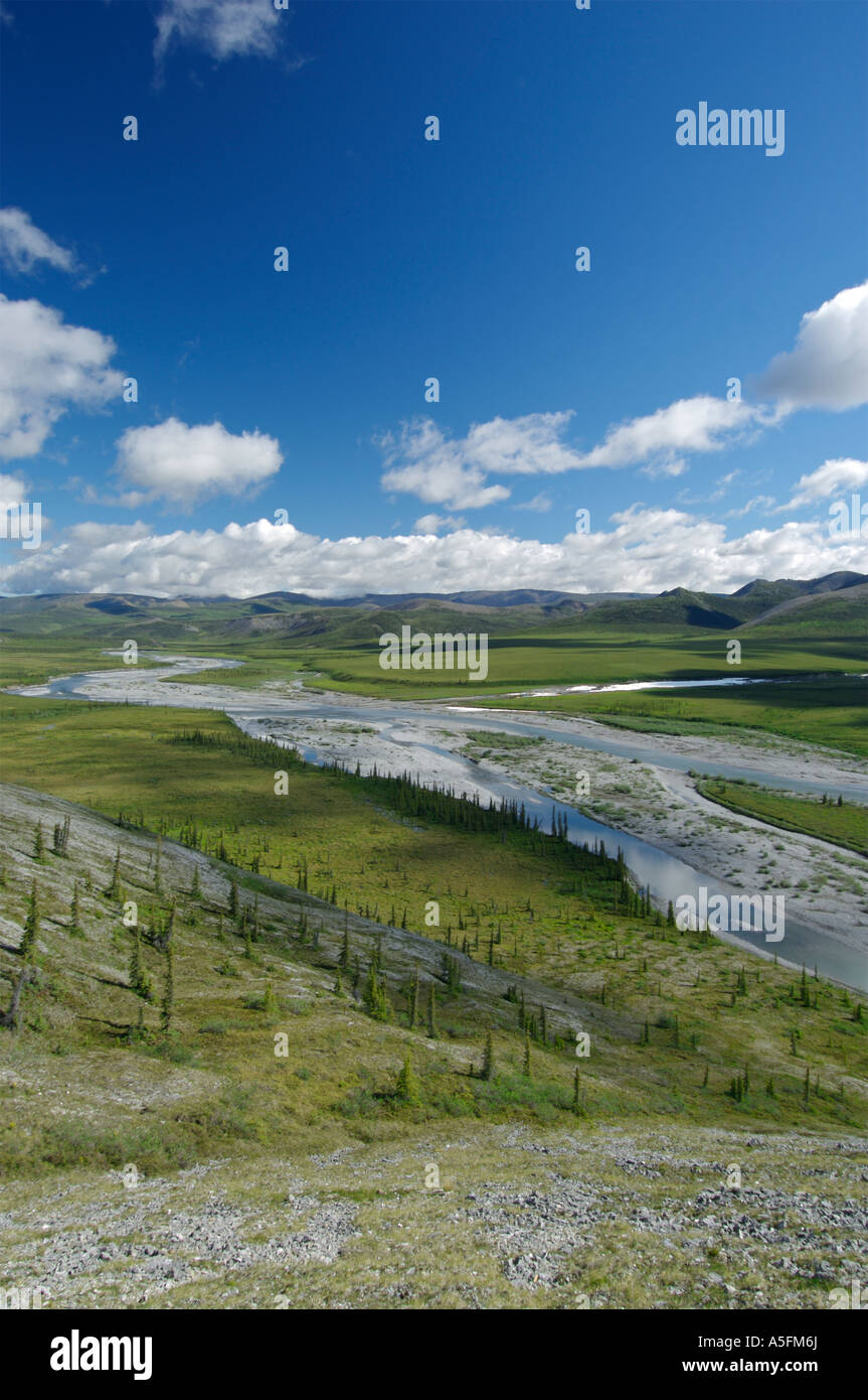 Muskeg Creek area, Firth River. Ivvavik National Park. Yukon Territory ...