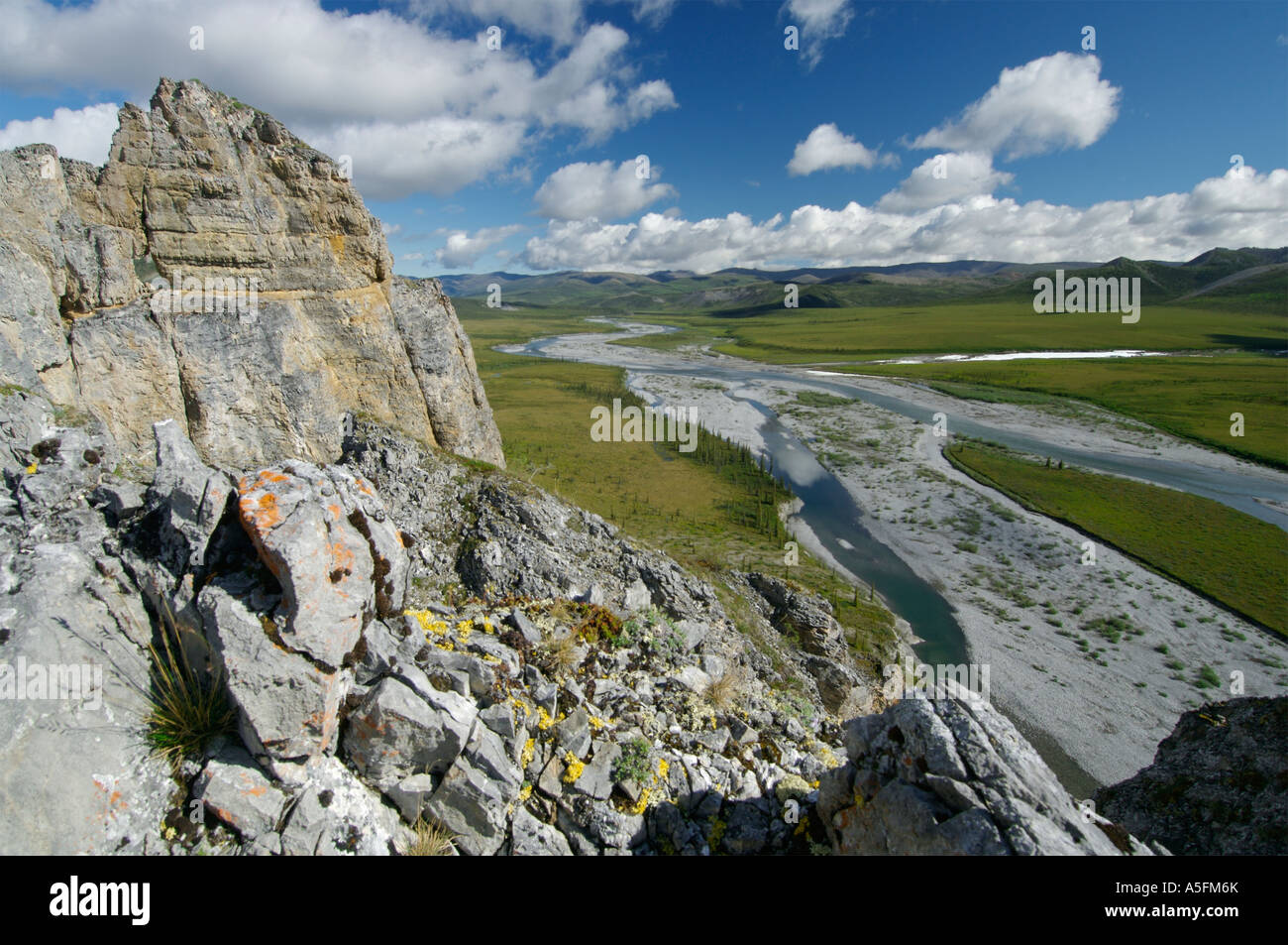 Muskeg Creek area, Firth River. Ivvavik National Park. Yukon Territory ...