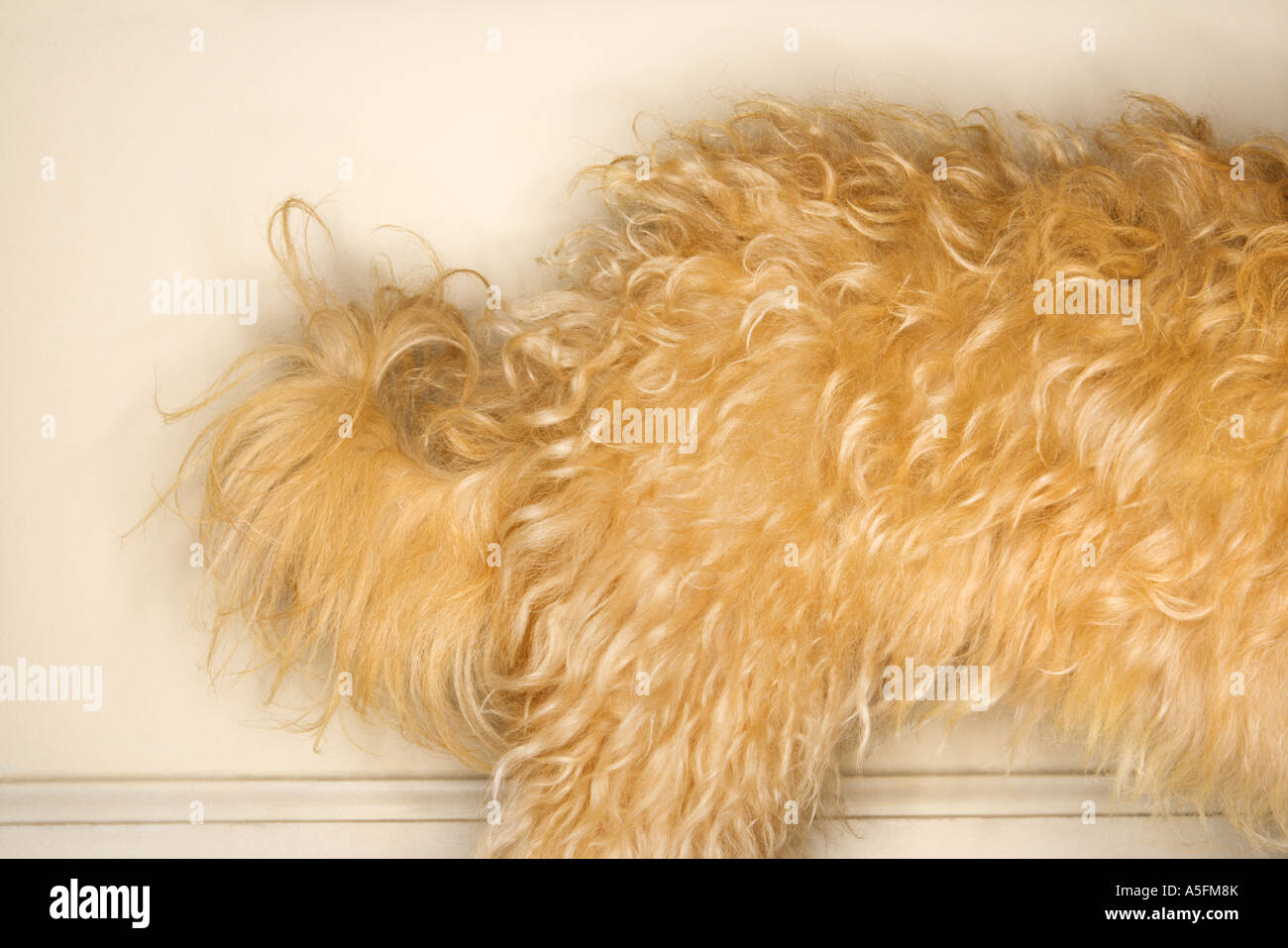 060313b0001 hi-res stock photography and images - Alamy