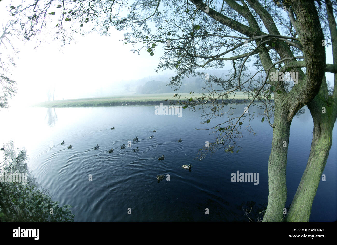 The River Derwent Derbyshire England situated in the Peak District ...
