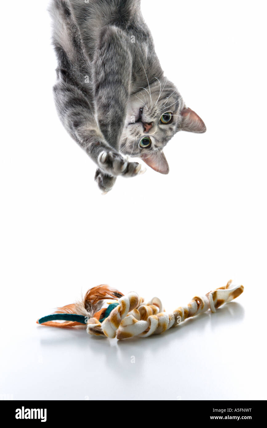 Arms hang down hi-res stock photography and images - Alamy