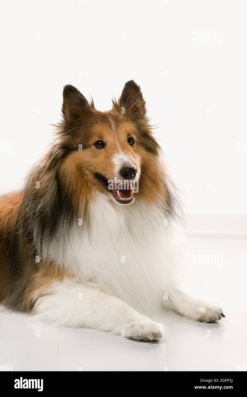 060426a0010 hi-res stock photography and images - Alamy