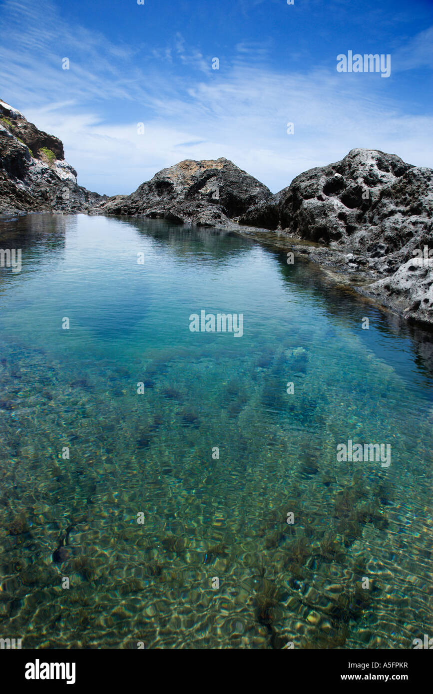 Tidal pool with seaweed and large rocks and blue sky in background in ...