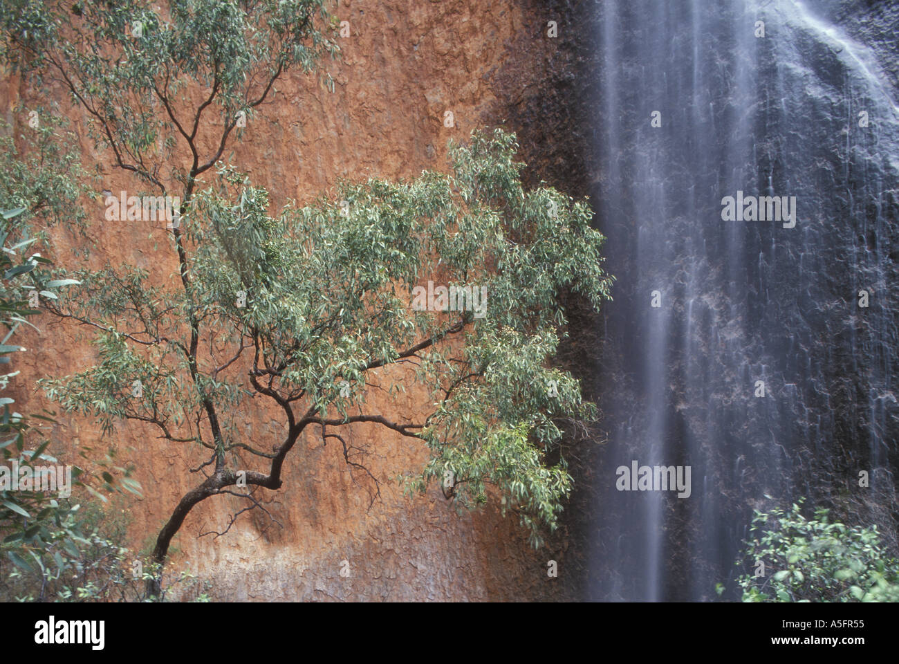 Australia Northern Territory Uluru Kata Tjuta National Park Waterfall ...