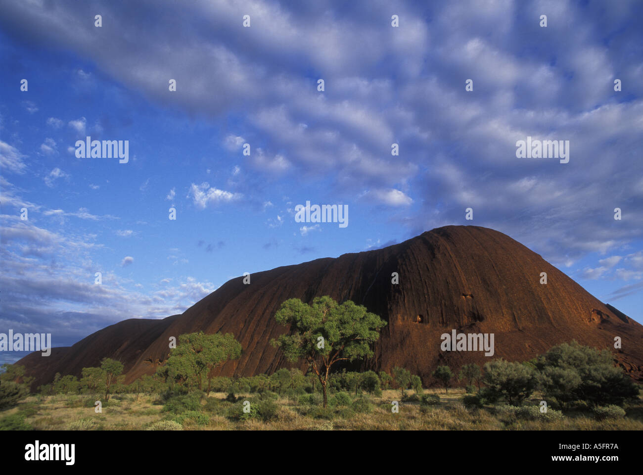 Australia Northern Territory Uluru Kata Tjuta National Park Rising sun ...
