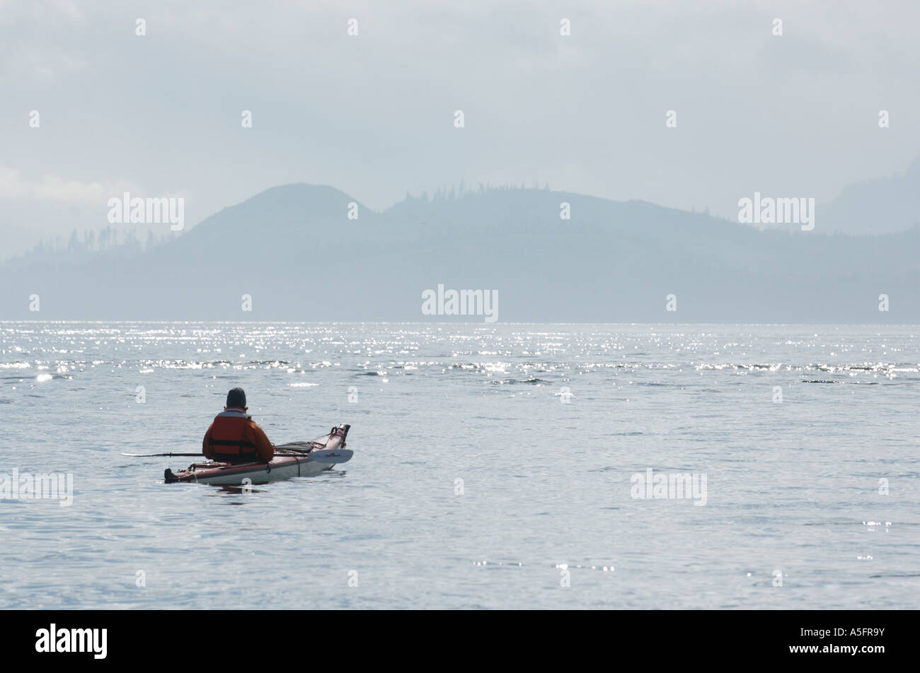 Humpback Whales and kayaker, SE - Southeast Alaska Stock Photo - Alamy