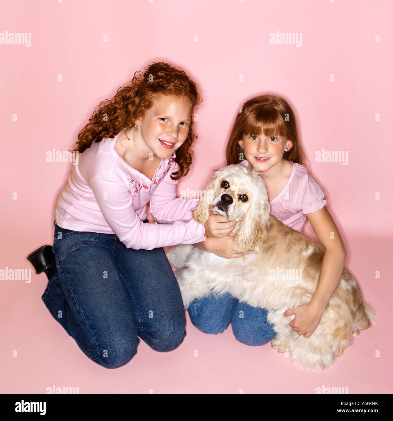 Caucasian female children holding Cocker Spaniel dog Stock Photo - Alamy