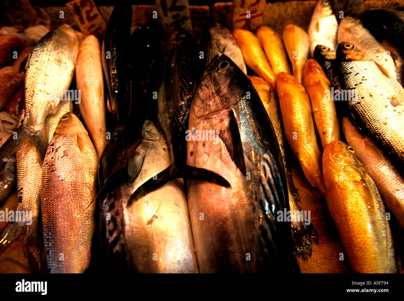 Chi wan hong kong hi-res stock photography and images - Alamy