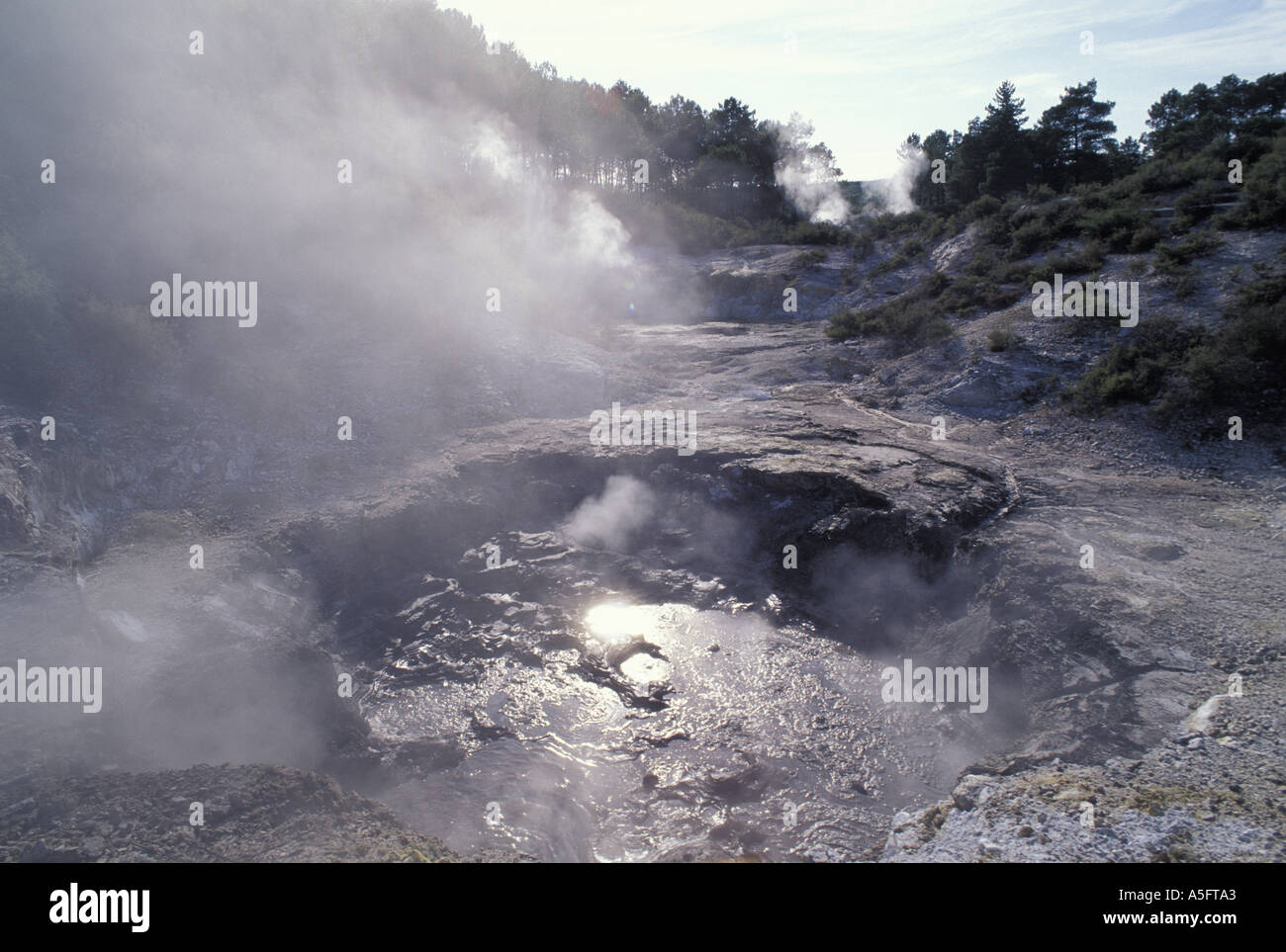 New Zealand North Island Boiling mud pot vents steam and scalding mud ...