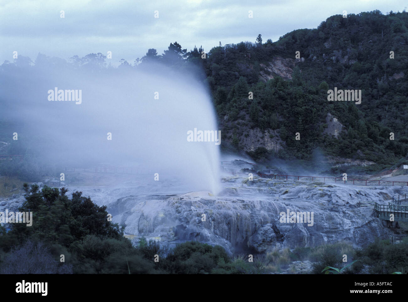 Pohutu geyser sunset hi-res stock photography and images - Alamy