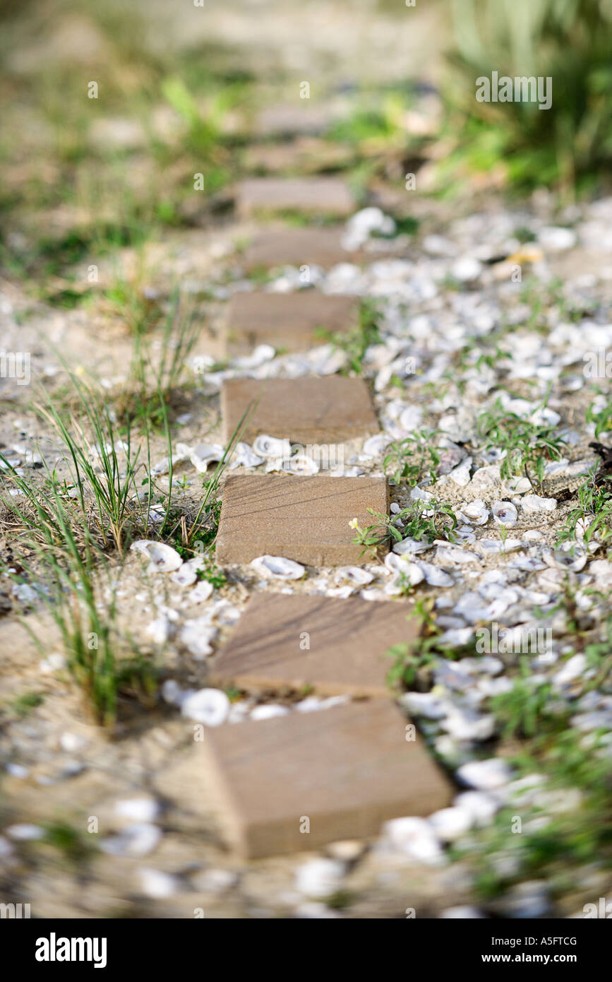 Coastal trail shell beach hi-res stock photography and images - Alamy