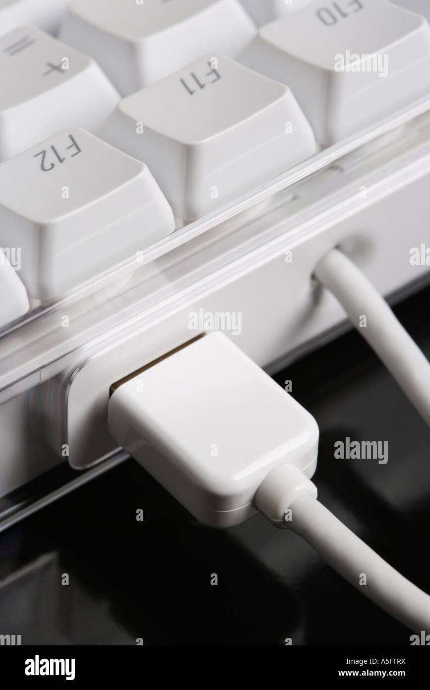 Close up of cords connected to computer keyboard Stock Photo - Alamy