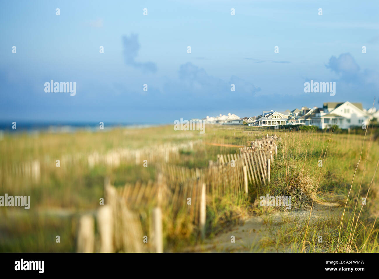 Beachfront houses separated from ocean by natural area Stock Photo - Alamy