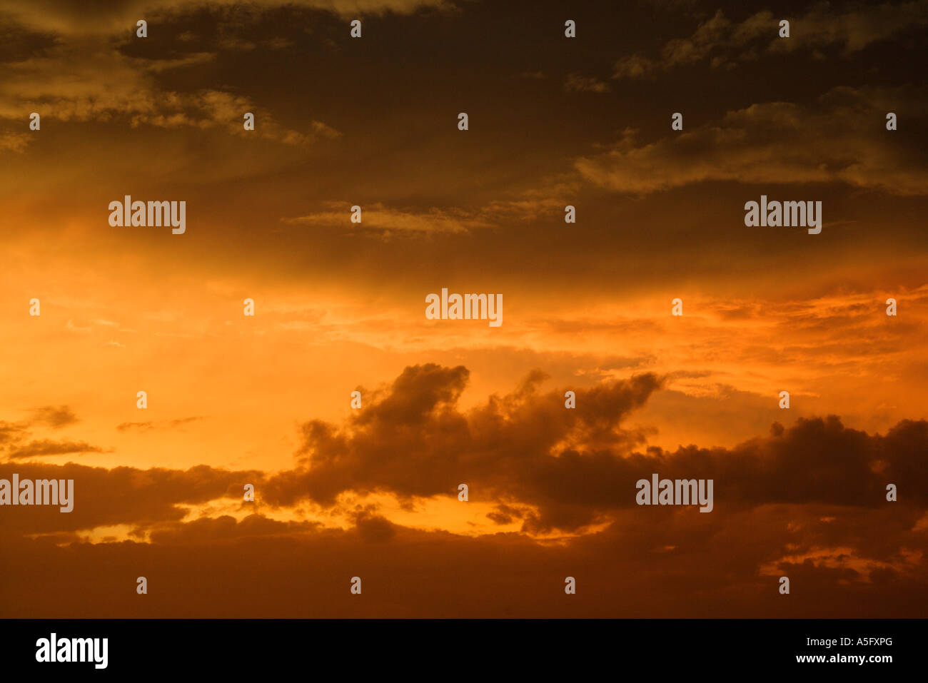 Golden yellow and orange sunset sky and clouds Stock Photo - Alamy