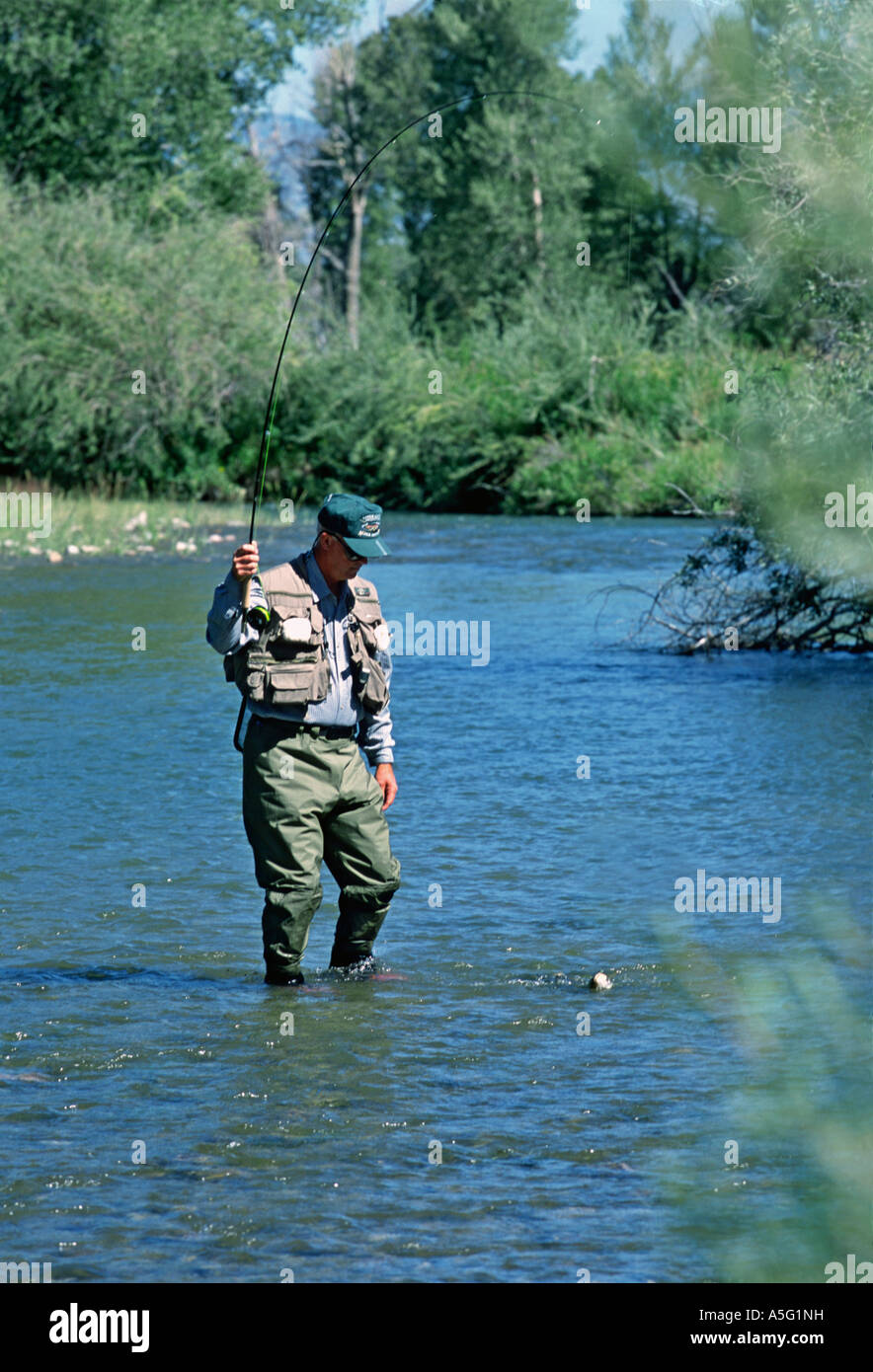 A fly fisherman lands a trout on the Ruby River in western Montana ...