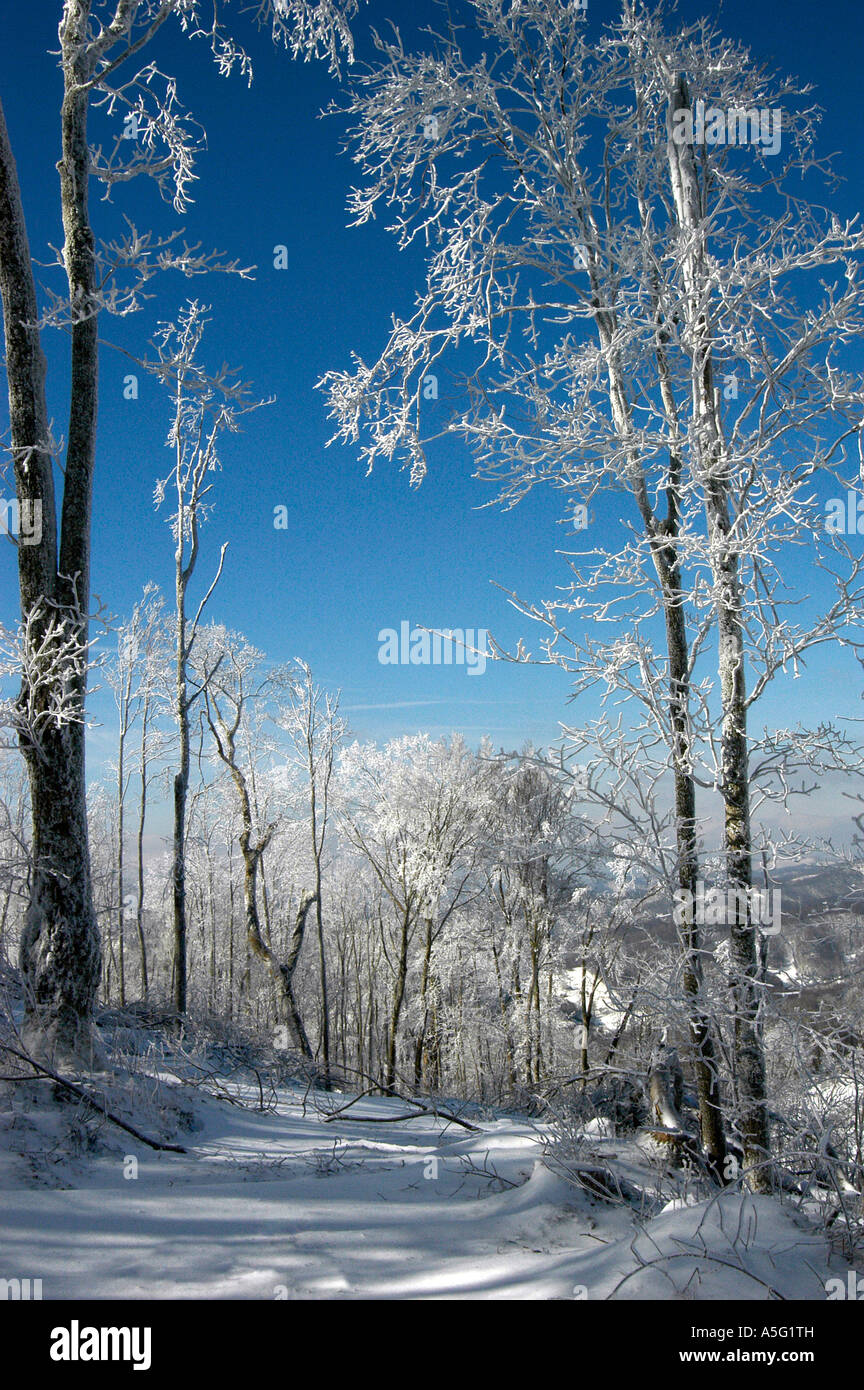 Sunny and icy winter morning Stock Photo - Alamy