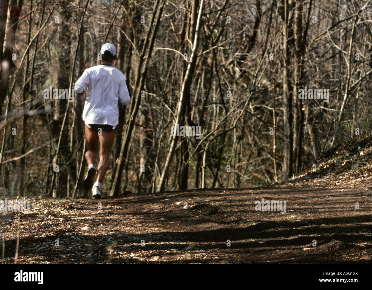 A man runs a trail through a forest in a Minneapolis, Minnesota park ...