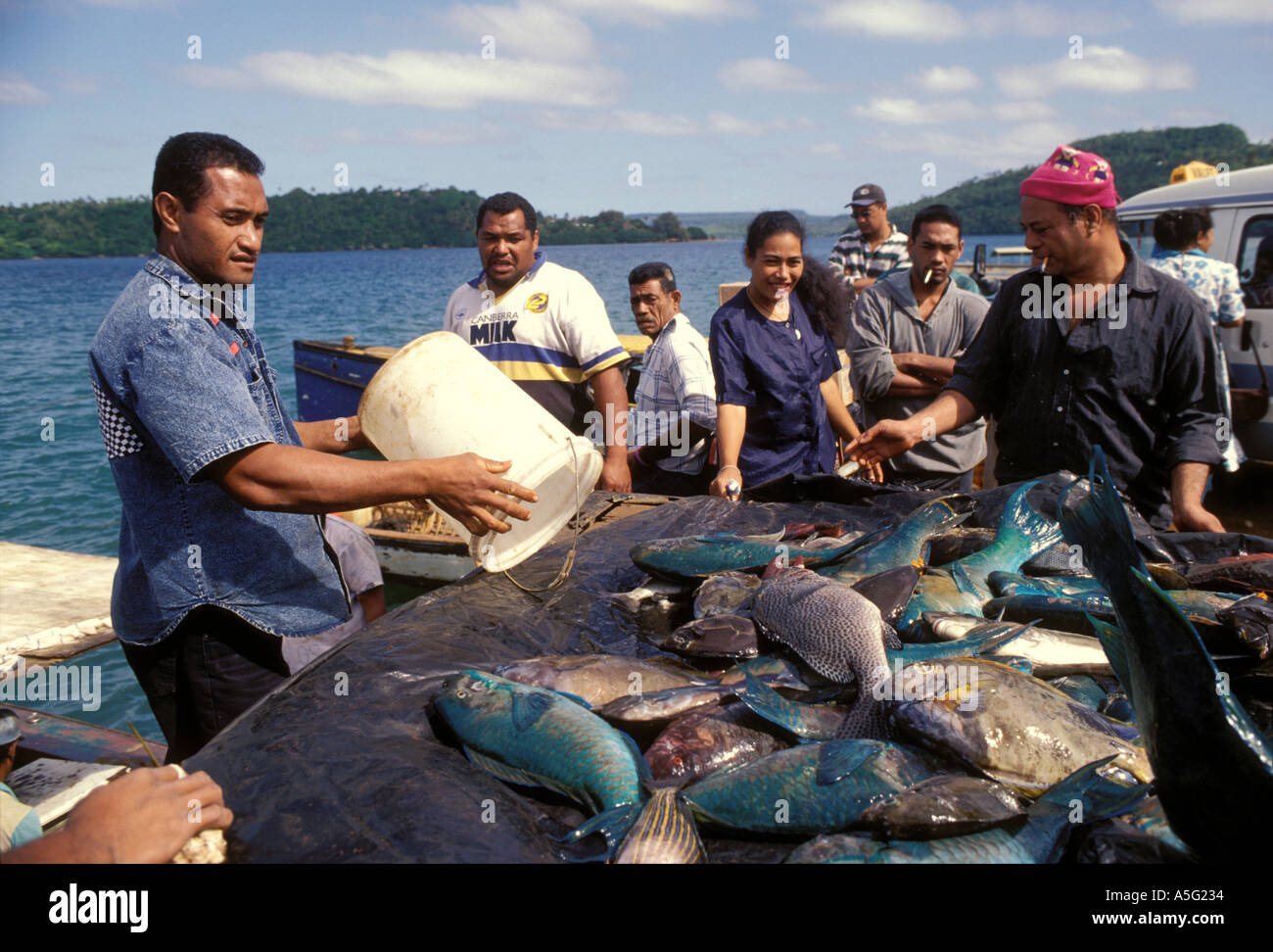 Tonga Vavau Neiafu fish on a market stall Stock Photo: 2081331 - Alamy