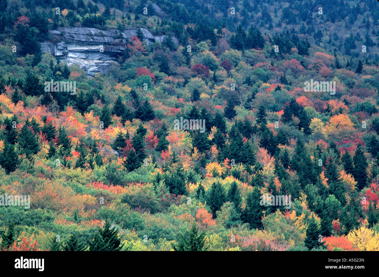 Blue Ridge Autumn Stock Photo - Alamy
