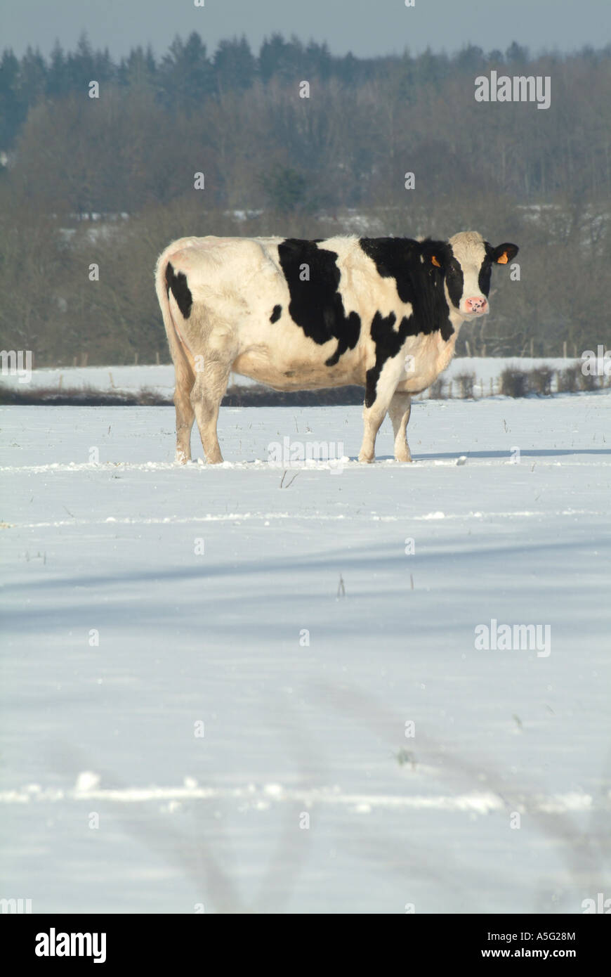 Mike blenkinsop hi-res stock photography and images - Alamy