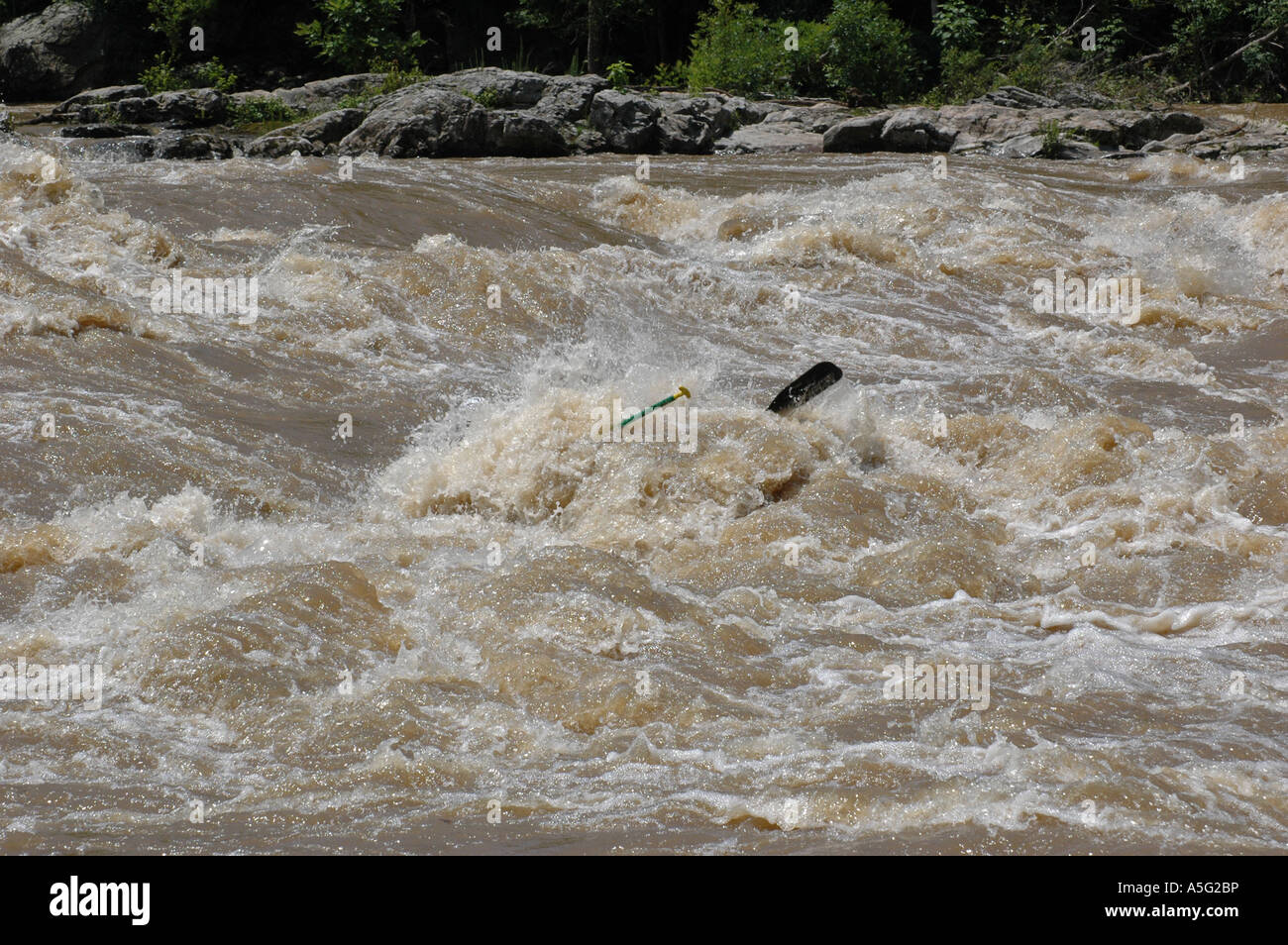 Only two paddles are visible as a raft is submerged in the midst of a ...