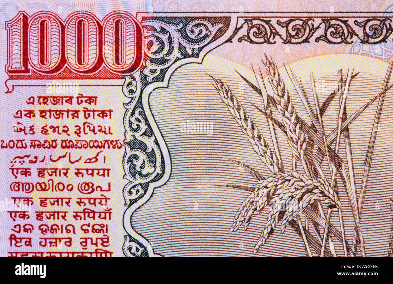 1000 rupees hi-res stock photography and images - Alamy