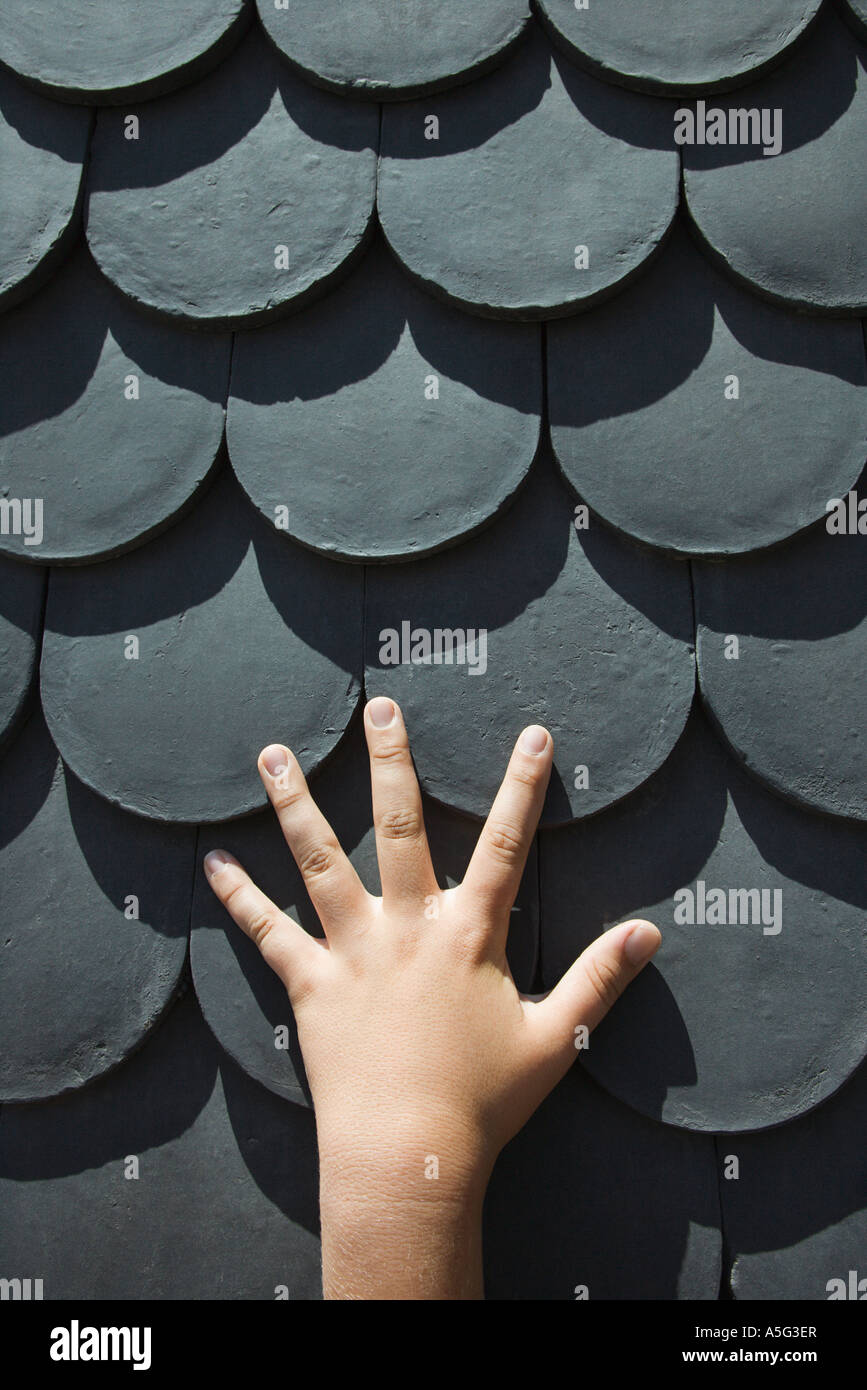 Close up of Caucasian boy s hand on rooftop with scale shaped shingles ...