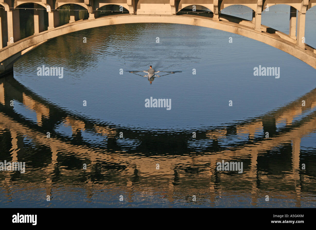 Rower rowing under bridge Stock Photo - Alamy