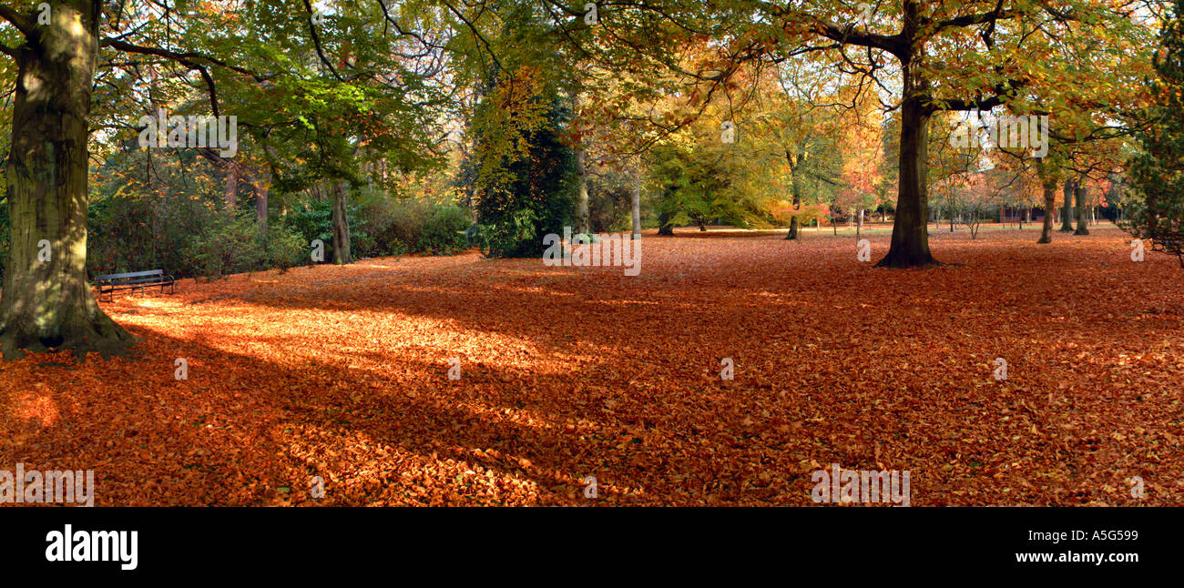 Autumn leaves Marie Louise gardens arboretum Didsbury Manchester North ...