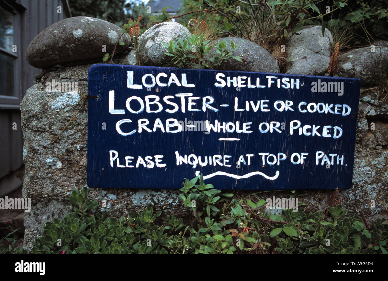 Hand written sign selling fish in Tresco on the Isles of Scilly UK ...