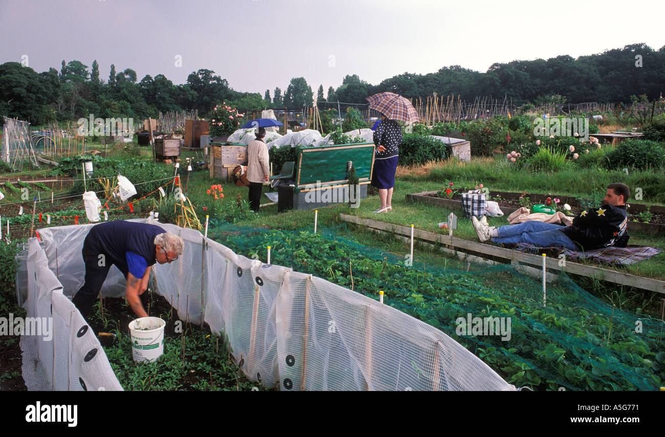 People on allotment england hi-res stock photography and images - Alamy