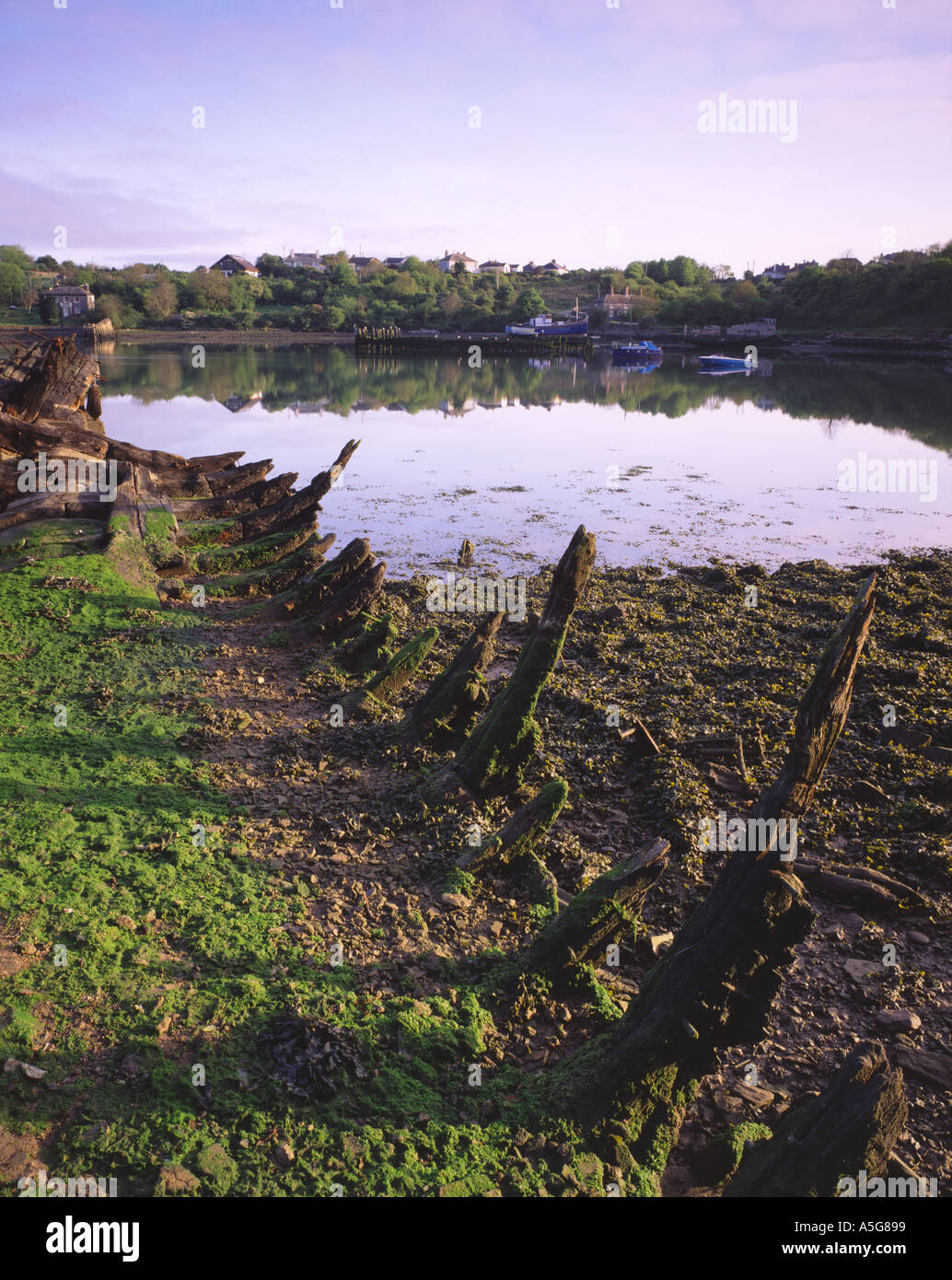 Hooe hi-res stock photography and images - Alamy