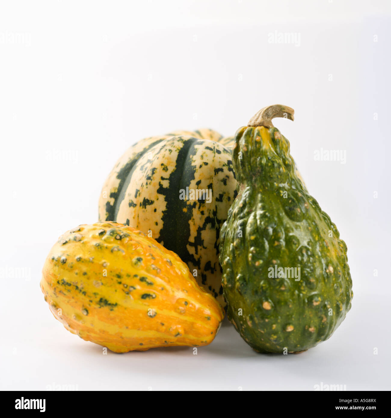 061218f0079 hi-res stock photography and images - Alamy