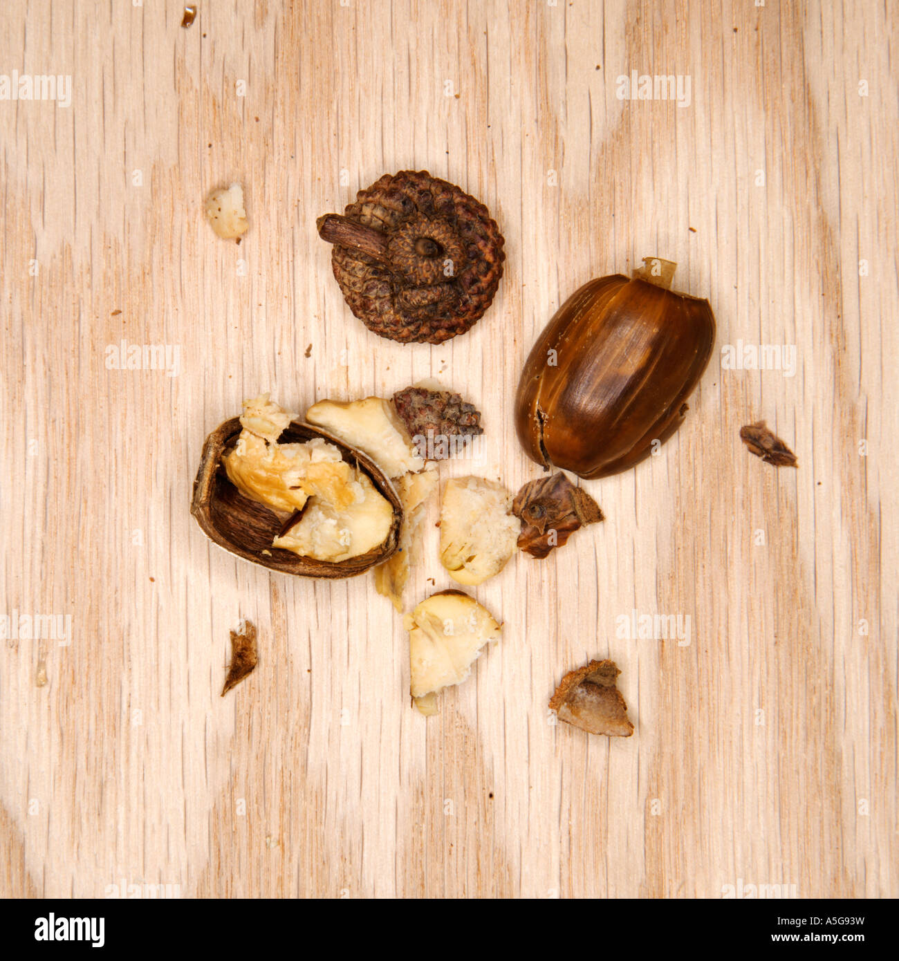 Crushed acorn on wood Stock Photo - Alamy
