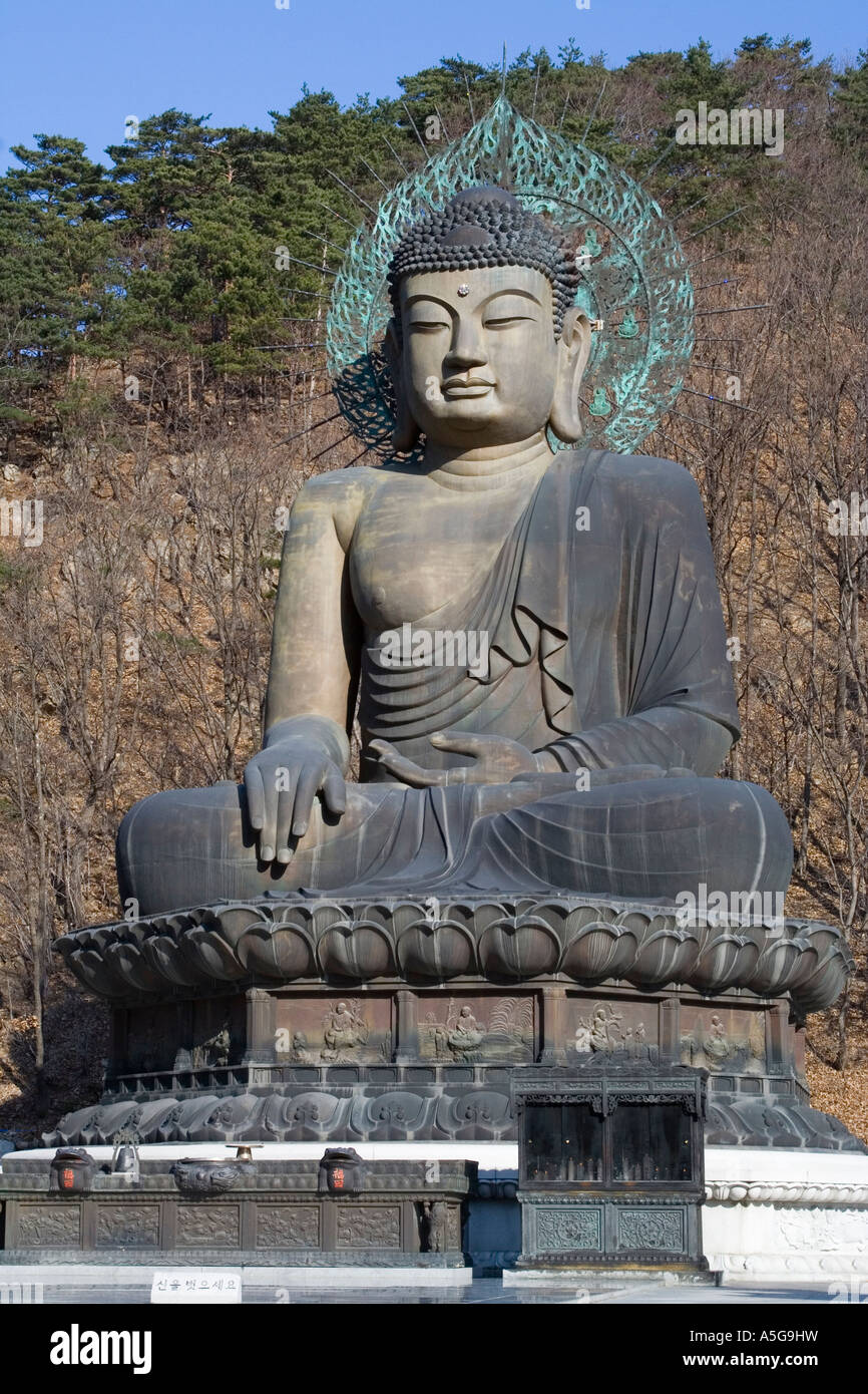 Enormous Buddha Statue Seoraksan National Park South Korea Stock Photo ...