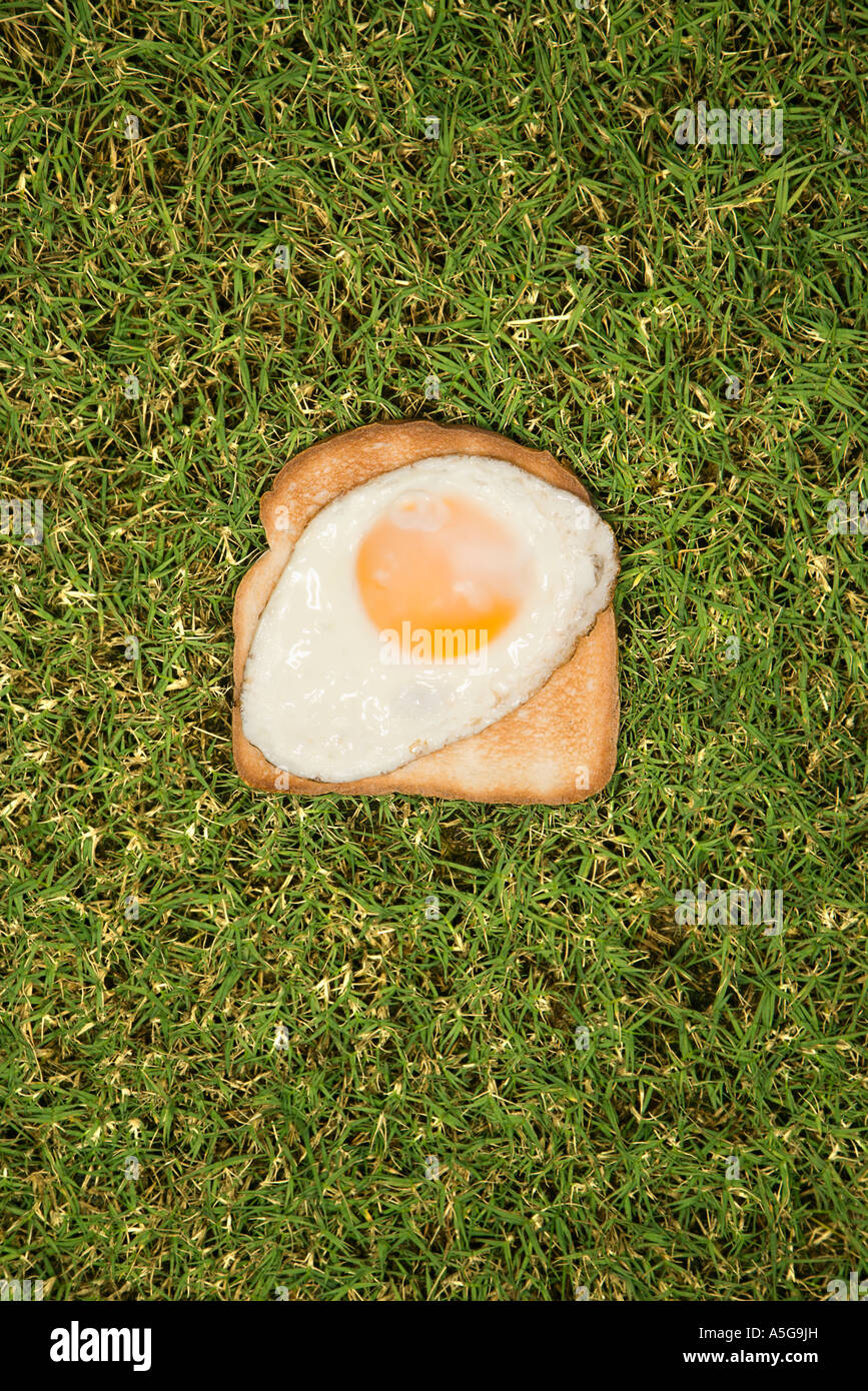 Fried egg on toast in grass Stock Photo - Alamy