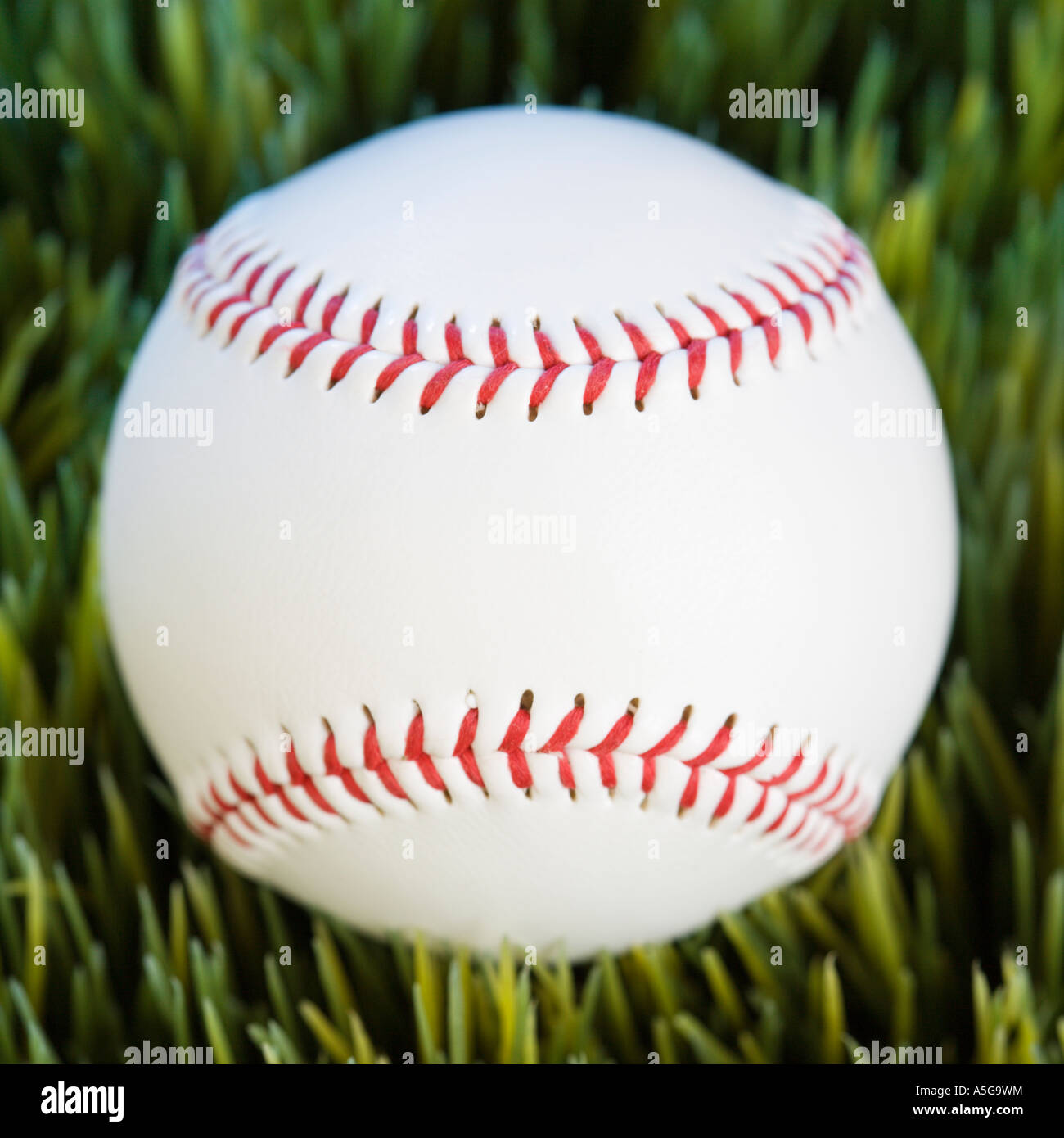 Close up studio shot of baseball resting in grass Stock Photo - Alamy