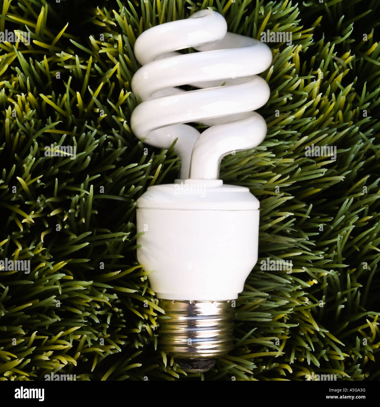 Studio shot of energy saving light bulb laying in grass Stock Photo - Alamy