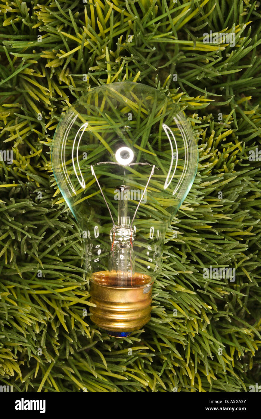 Studio shot of glass light bulb laying in grass Stock Photo - Alamy