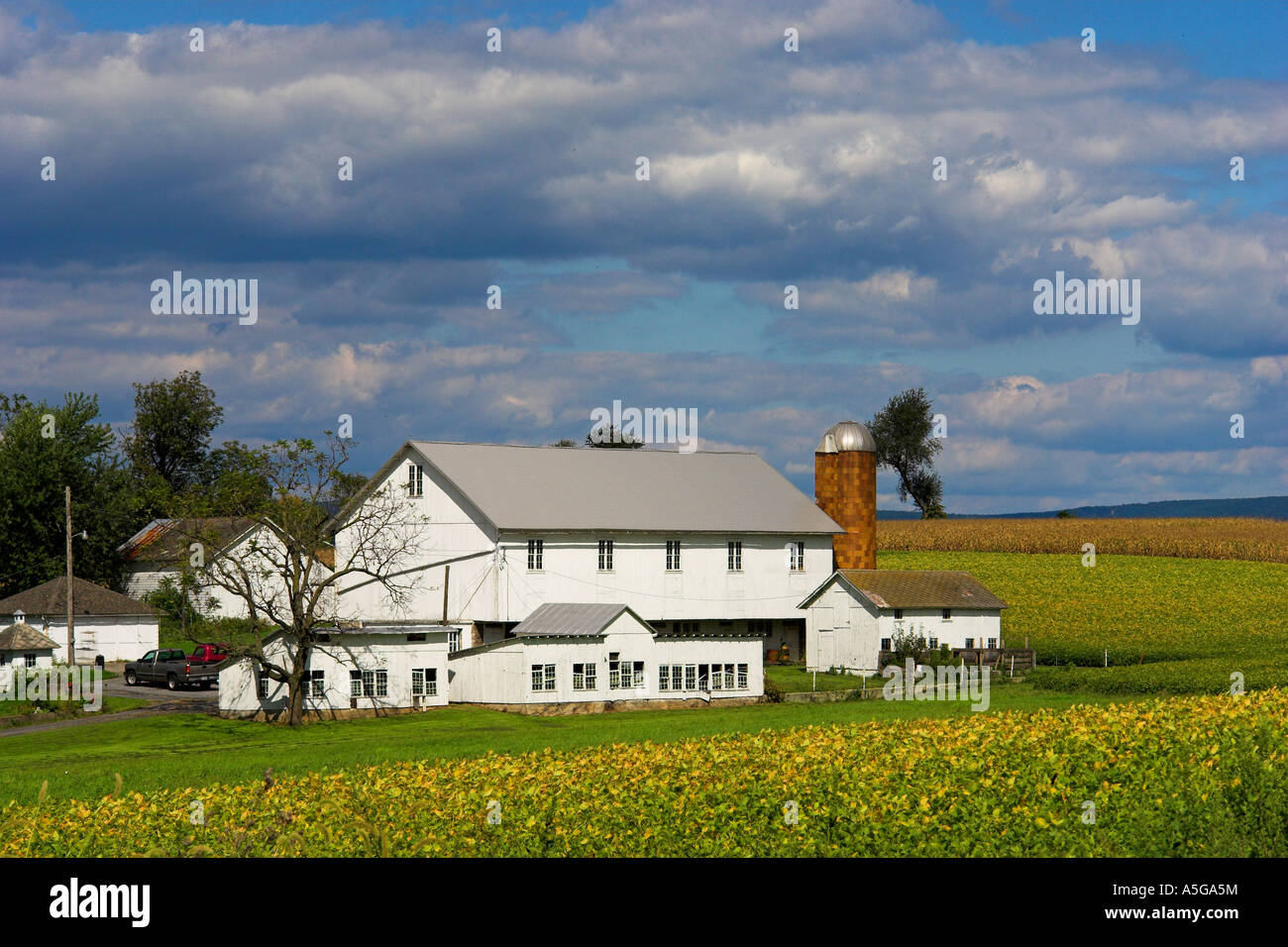 Pennsylvania farm in spring Stock Photo - Alamy