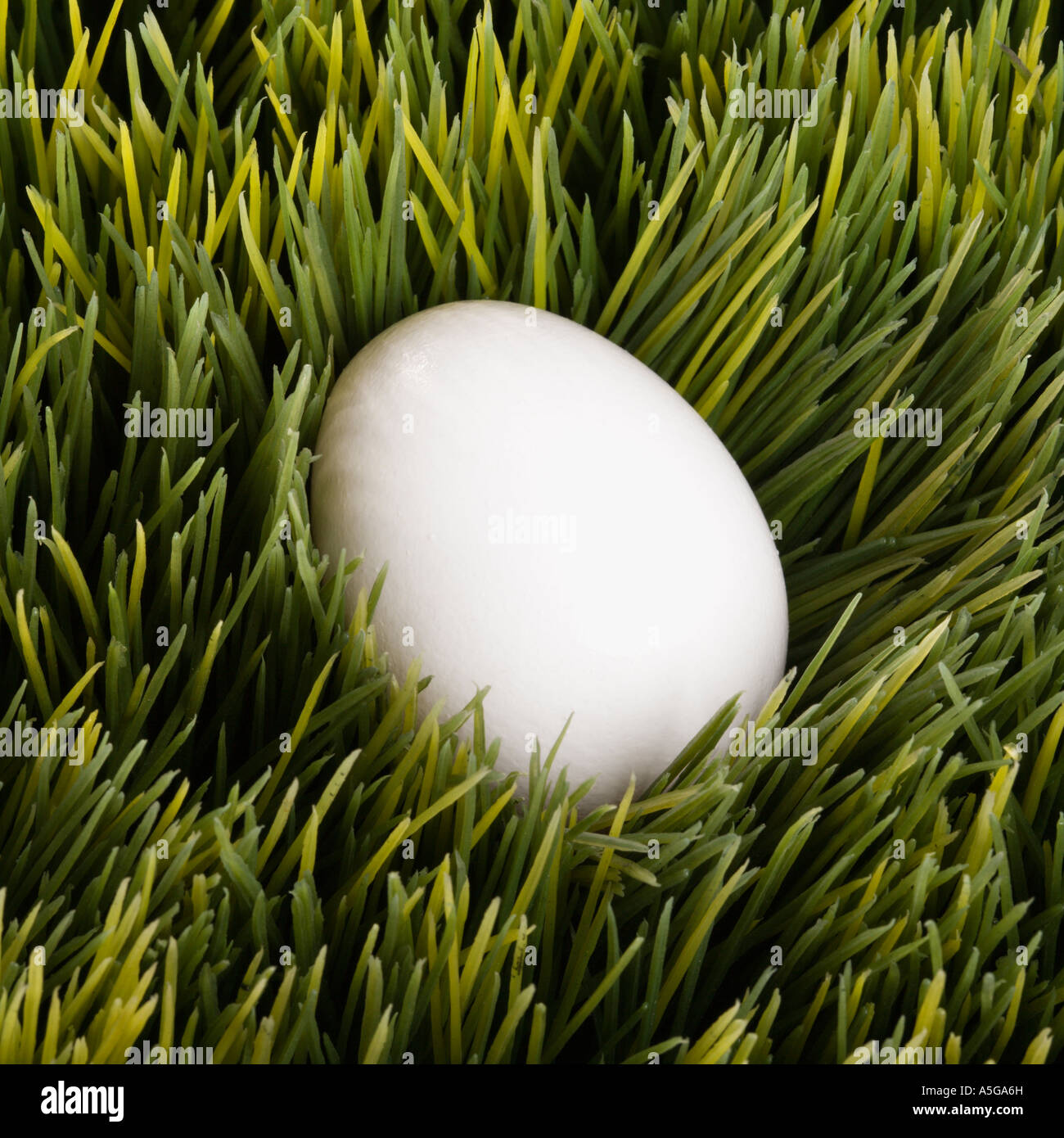 A white egg buried in grass Stock Photo - Alamy