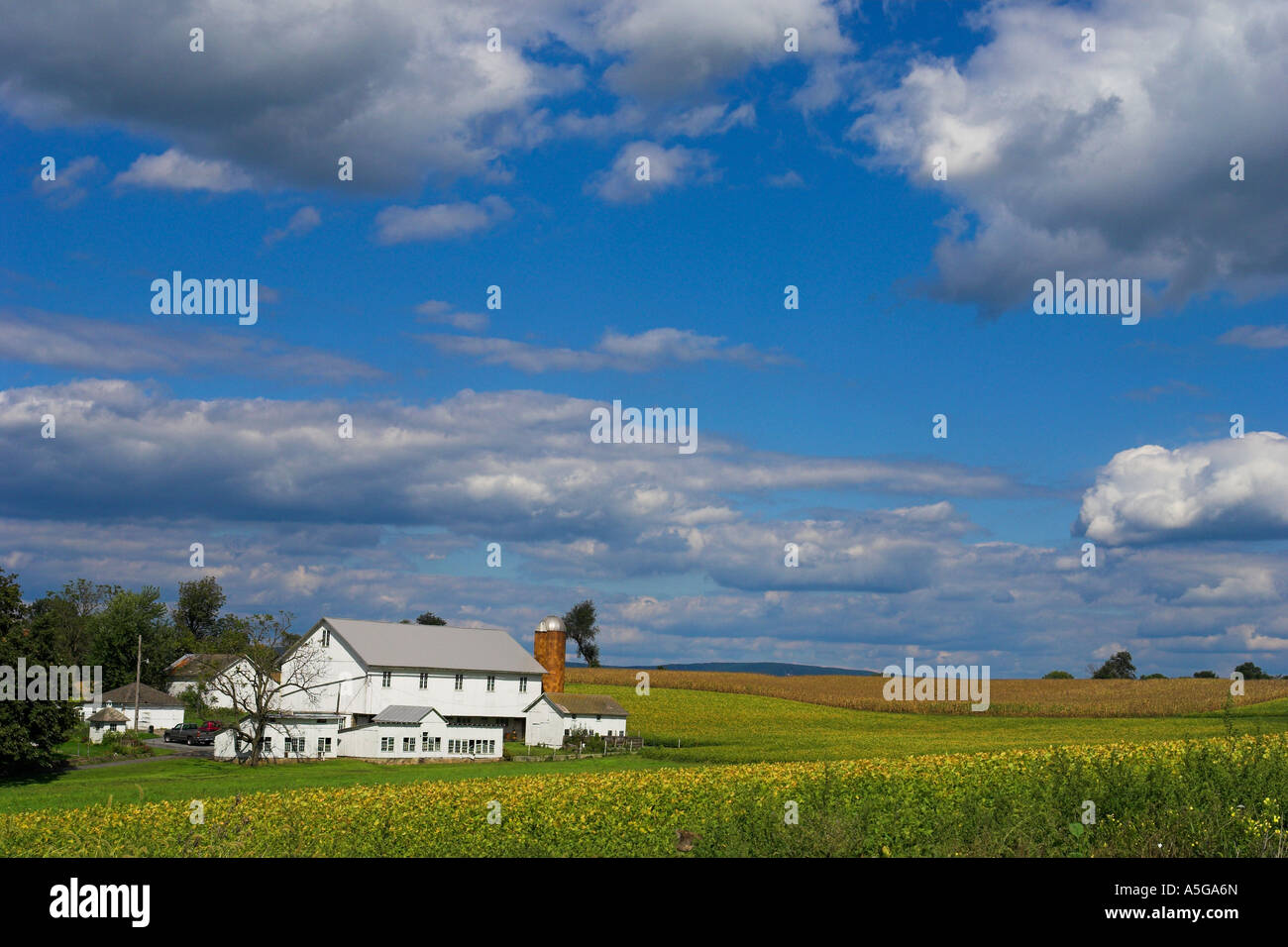 Pennsylvania farm in spring Stock Photo - Alamy