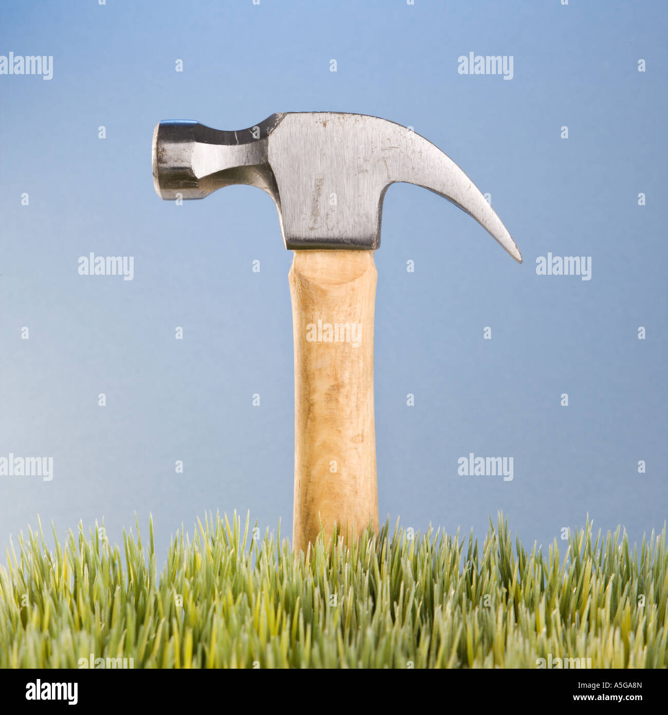 Studio shot of hammer with wooden handle placed behind grass Stock ...
