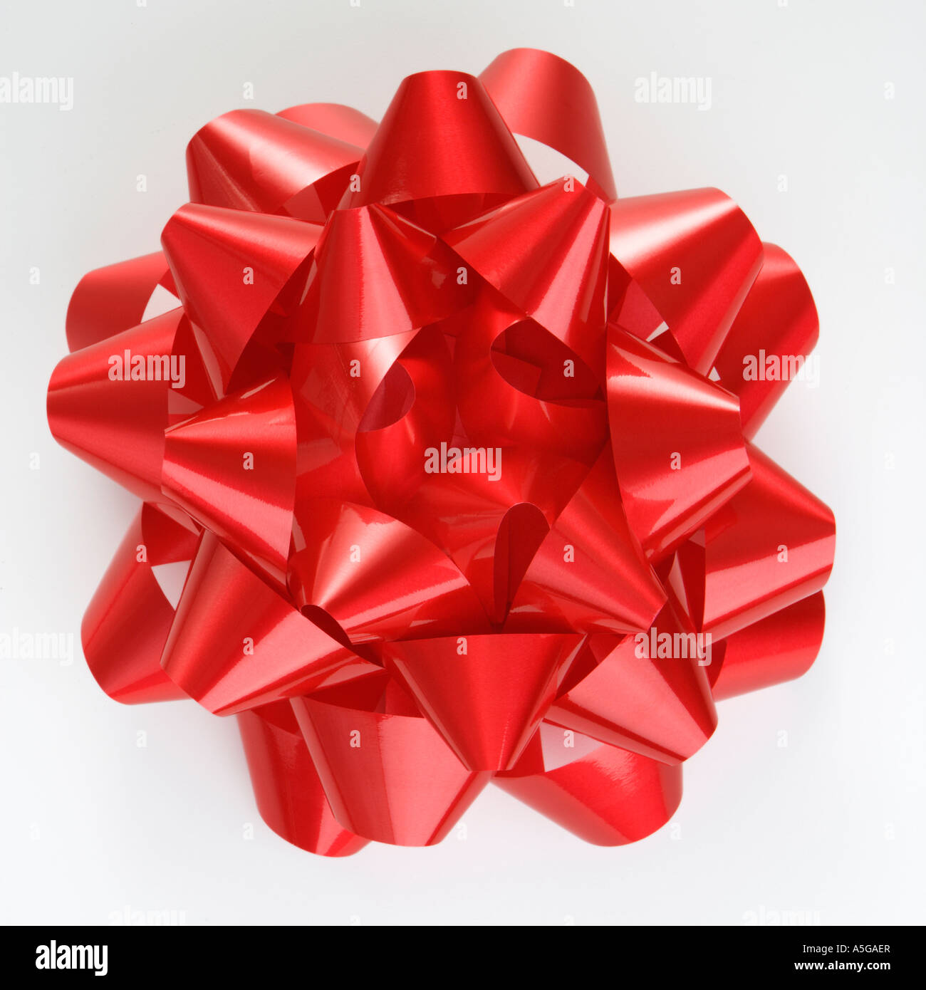 Still life of big red Christmas bow Stock Photo - Alamy