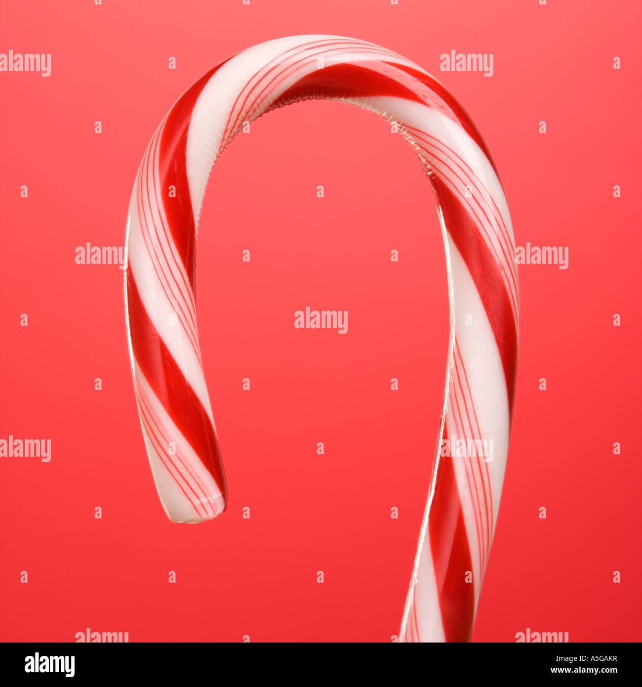 Still life of top half of candy cane Stock Photo - Alamy