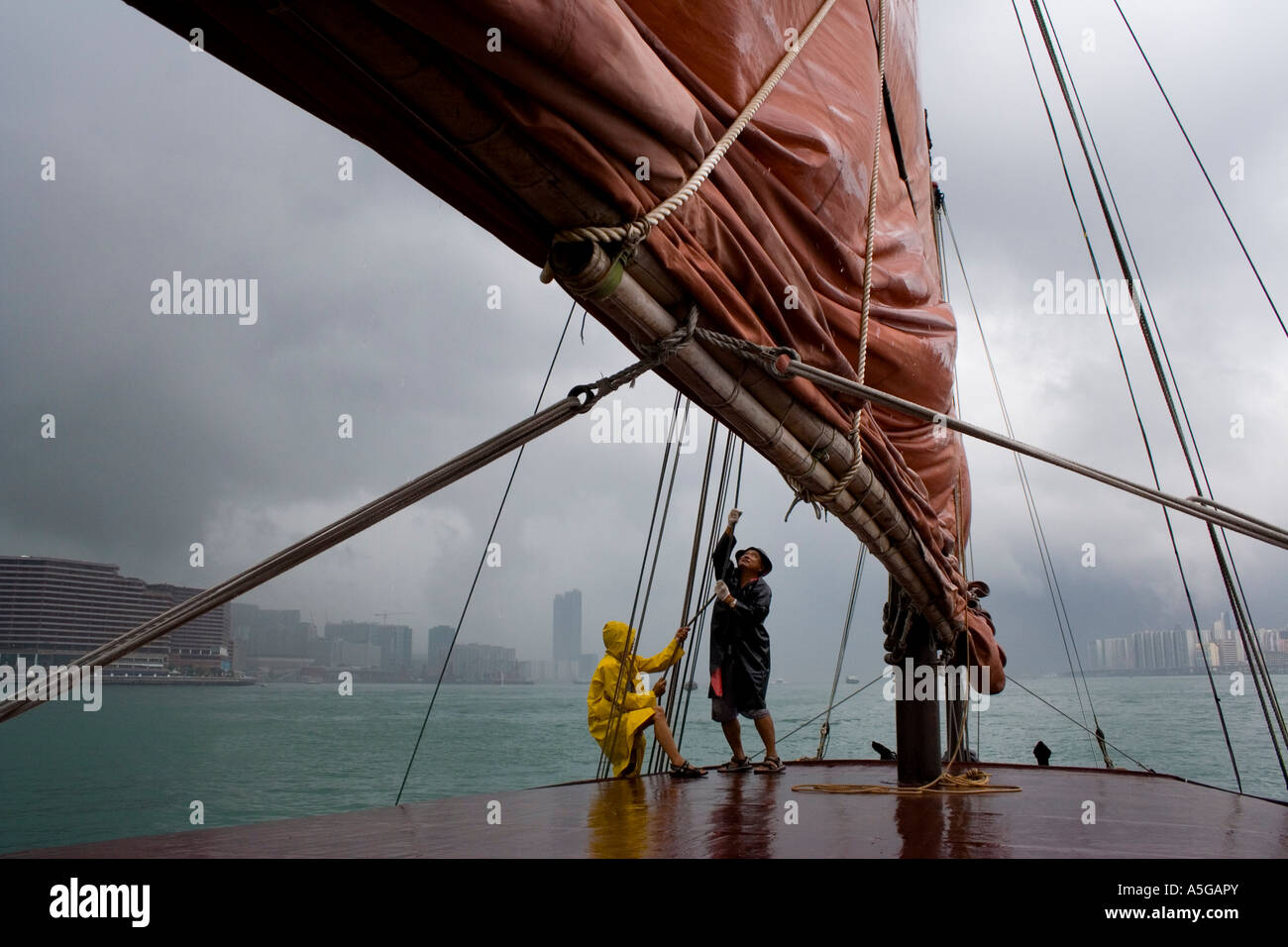 Hoisting Sails of Duk Ling Chinese Fishing Junk Hong Kong China Stock ...