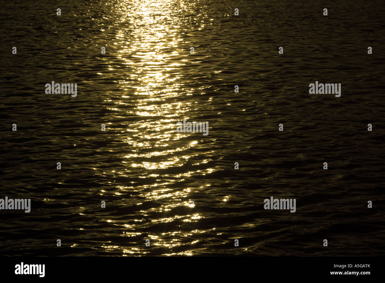 Surface active substance hi-res stock photography and images - Alamy